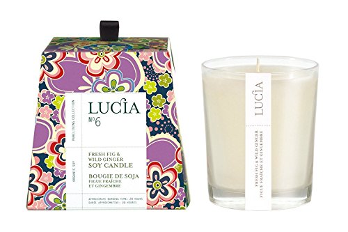 Amazon.com : Lucia Candle, Wild Ginger and Fresh Fig, 0.47 Ounce ...