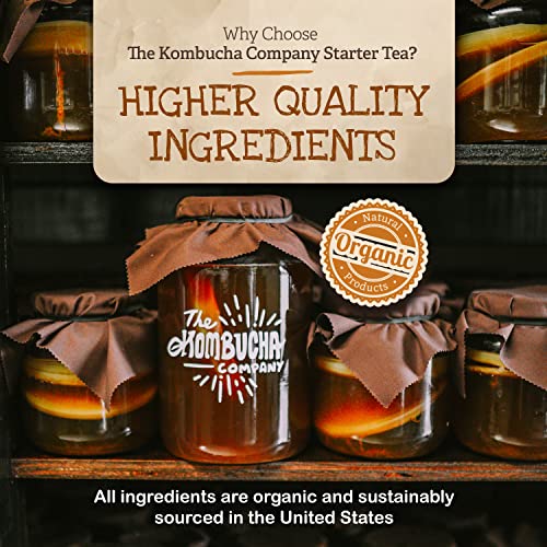 Snapklik.com : Large Kombucha Scoby & 16oz Bottle Of Starter Tea L ...
