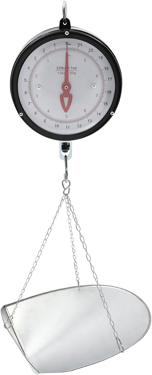 Amazon.com: CTW Home Collection 770199 Hanging Decorative Non ...