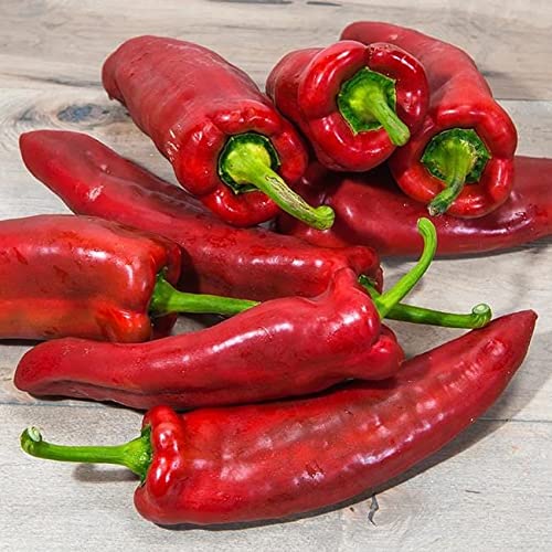 Marconi Red Pepper Growing Guide