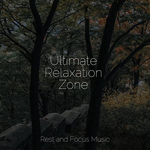 Amazon Music - Study Music, Ambient Forest, Baby Relax Music CollectionのUltimate Relaxation Zone ...