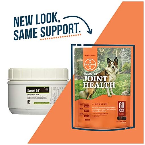 Synovi G4 Dog Joint Supplement Chews, 60-Count, for Dogs of All Ages ...