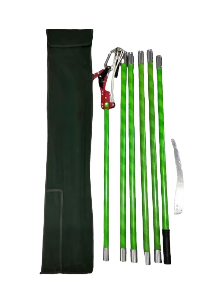 Amazon | LBYGQ たかえだきりノコギリ 2way 高枝ノコギリ 組合式 3m 4m5m6m SK5鋼鍛造シザーヘッド 軽量 耐久性 伸縮式高枝鋸 高枝切りハサミ ガーデニング用品 ...