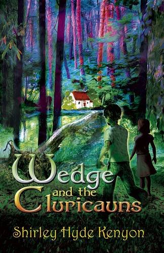 Wedge and the Cluricauns: Hyde Kenyon, Shirley: 9781780035581: Amazon ...