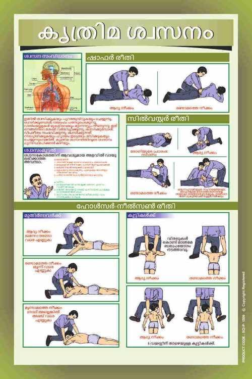 Malayalam CPR & Emergency Response Educational Wall Poster (Star Flex ...