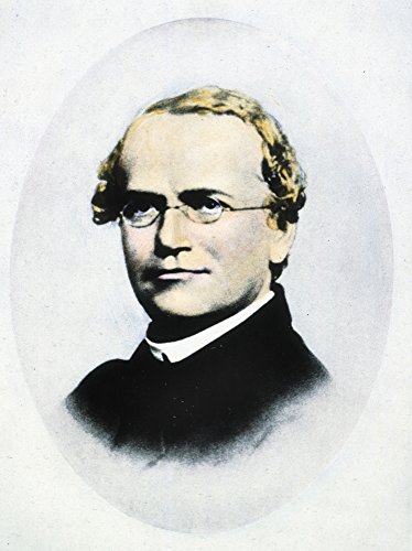 Gregor Johann Mendel - PhilosophyProfessor.com