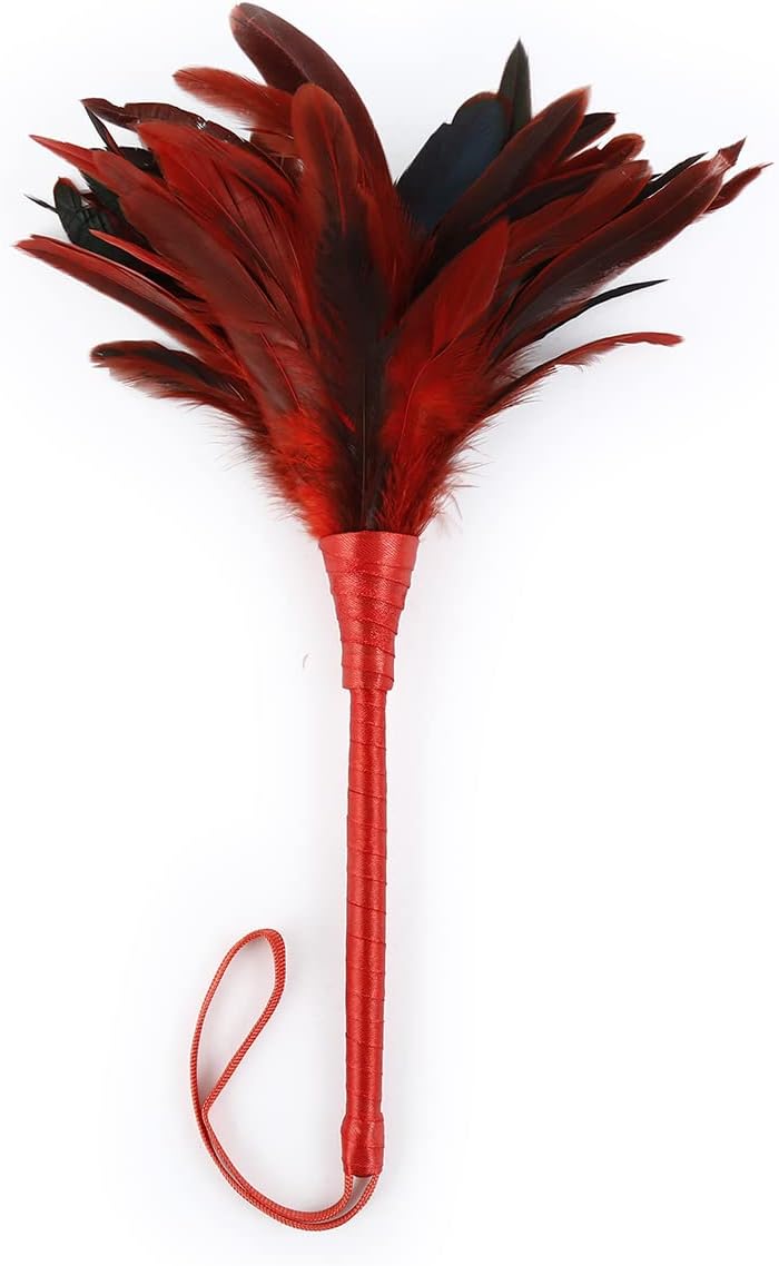 Amazon.com: Feather Tickler SM Romantic Night Womens Feather Duster ...