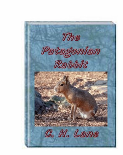 The Patagonian Rabbit - Kindle edition by C.H. Lane. Professional ...