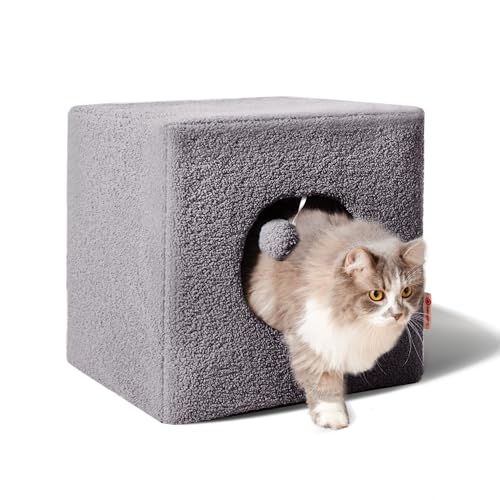 Cat Cube – The 15 best products compared - Wild Explained
