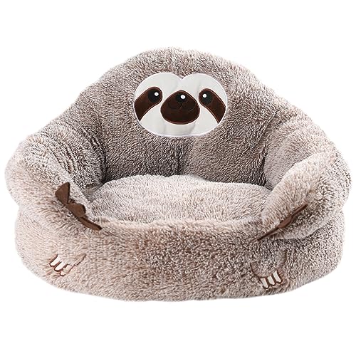 10 Must-Have Products for Your Chillaxing Sloth Cat: A Comprehensive ...
