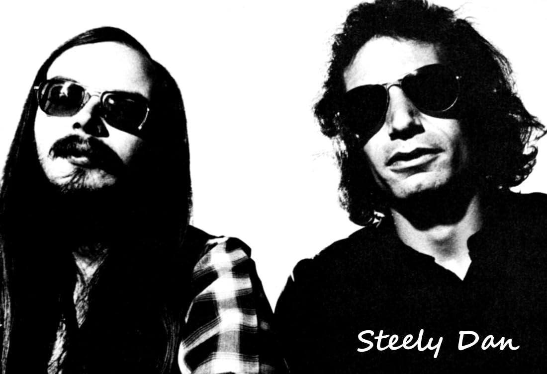 Amazon.com: Artist Unknown Steely Dan Poster, Rock, Jazz, Funk ...