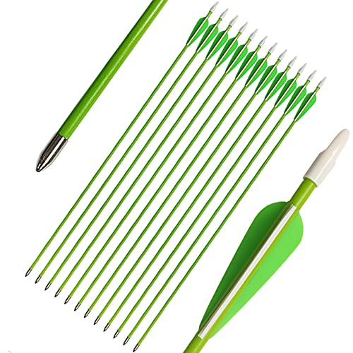 Find The Best Arrows For Target Practice Reviews & Comparison - Katynel