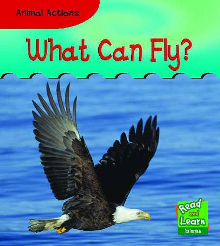 Read and Learn: What Can Fly? (Read & Learn) (Read & Learn): Patricia ...