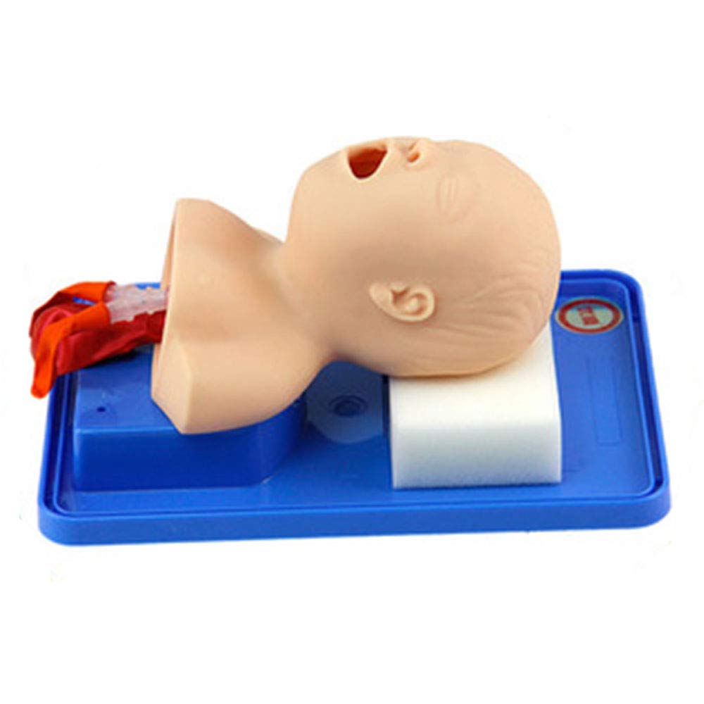 Buy Tracheal Intubation Training Simulator Model Advanced Infant ...