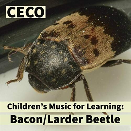 Amazon.co.jp: Children's Music for Learning : Bacon / Larder Beetle ...