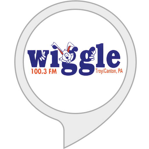 Amazon.com: Wiggle 100 : Alexa Skills