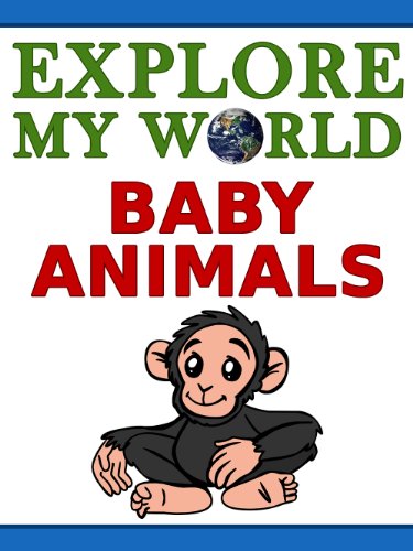 Explore My World: Baby Animals (A Cute Animals Picture Book For ...