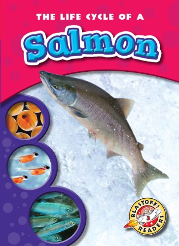 The Life Cycle of a Salmon (Blastoff! Readers: Life Cycles) (Blastoff ...
