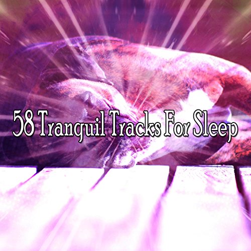 Amazon.com: 58 Tranquil Tracks For Sleep : Einstein Baby Lullaby ...