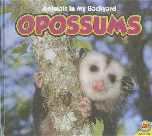 Opossums (Animals in My Backyard): McGill, Jordan: 9781616909338 ...