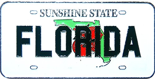 Amazon.com: Florida the Sunshine State License Plate Replica Metal ...