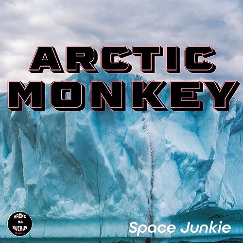 Play Arctic Monkey by Space Junkie on Amazon Music