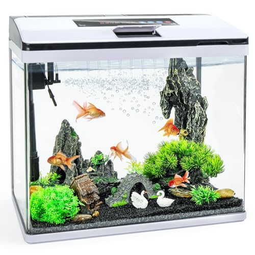 Top 10 Best 10 Gallon Tank Fish : Reviews & Buying Guide - Katynel