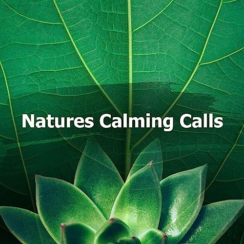 Amazon.com: Natures Calming Calls : When Nature Calls: Digital Music