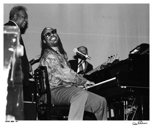 Buy Backstage Gallery Presents RW-4960-004 Stevie Wonder by Robert ...
