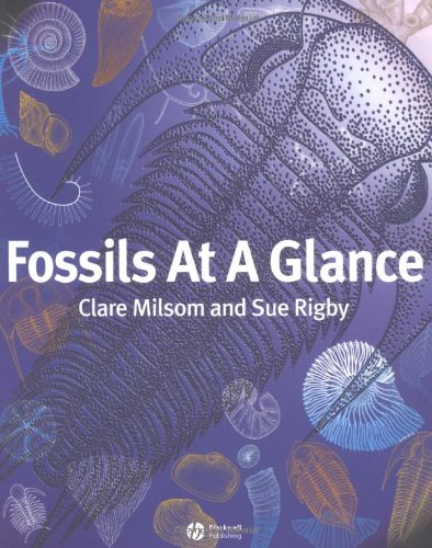 Fossils at a Glance: Milsom, Clare, Rigby, Sue: 9780632060474: Amazon ...