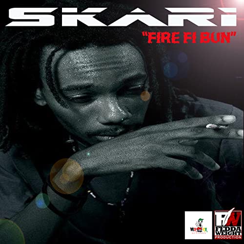 Amazon.com: Fire Fi Bun - Single : Skari: Digital Music