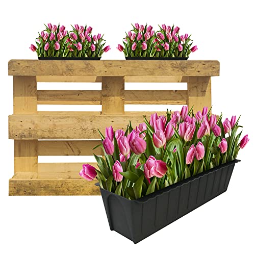 Pflanzkasten Einsatz Kunststoff – Die 15 besten Produkte im Vergleich - Elternchecker