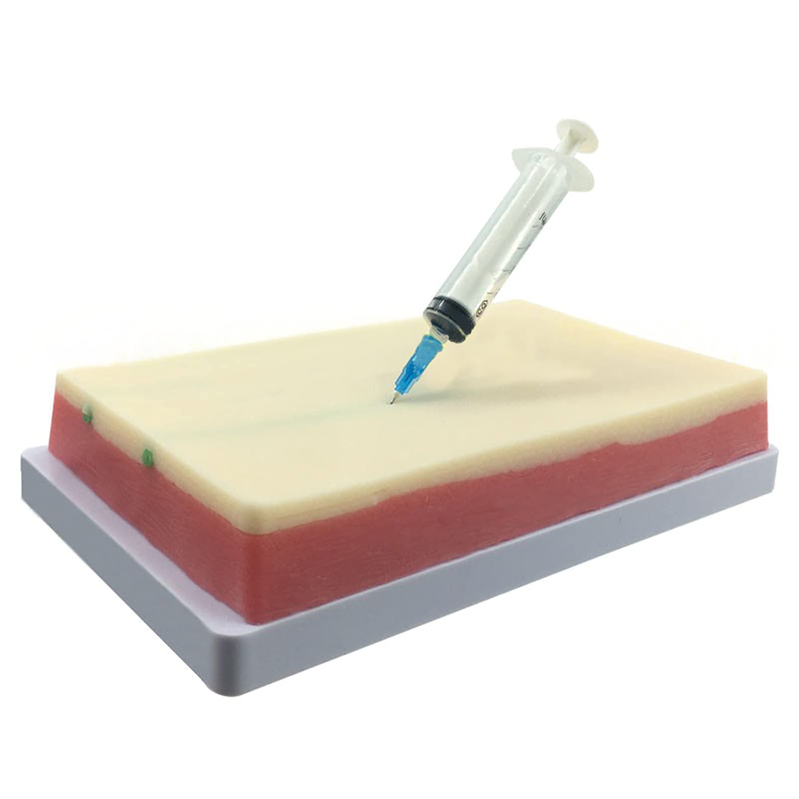 Buy Intravenous injection model, injection pad, with 3 layers of the ...