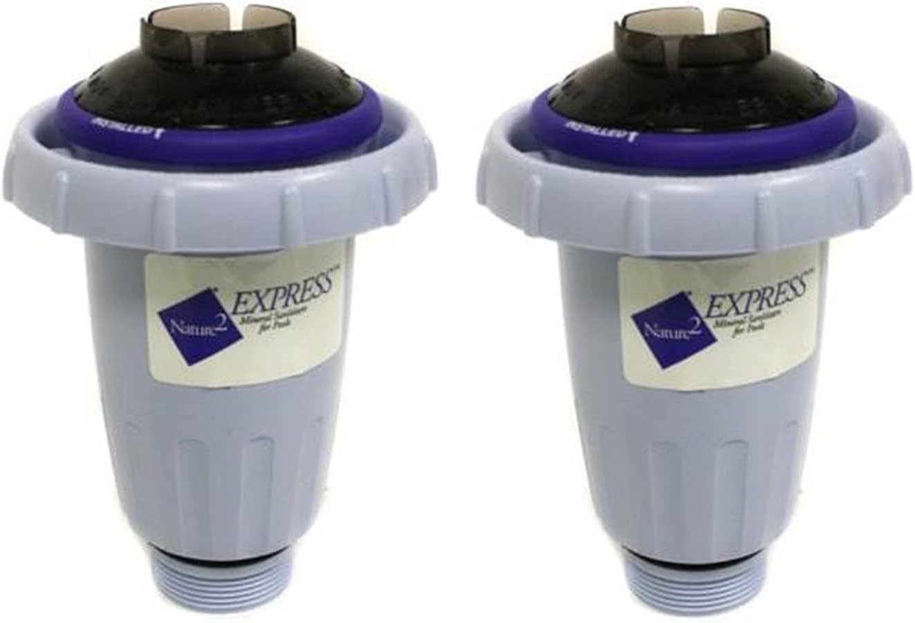 Amazon.com : Nature2 2 W28175 Express Above/InGround Vessel Pool ...