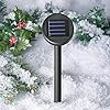 Amazon.com: Collections Etc Decorated Solar Lighted Christmas Garland ...