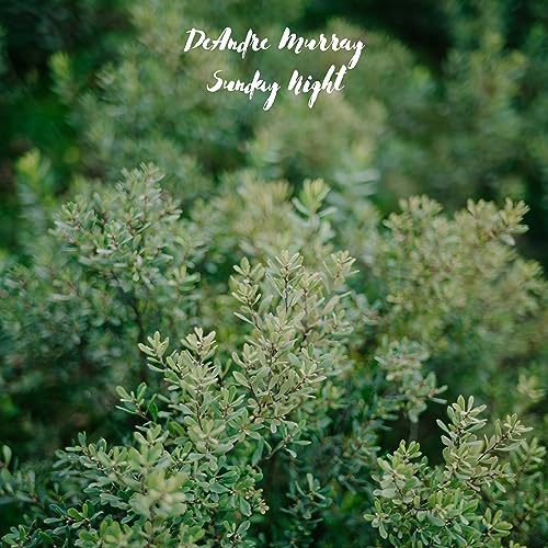 Écouter Sunday Night par Deandre murray sur Amazon Music Unlimited