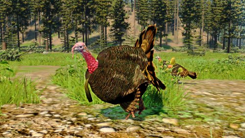 Top 30 PS3 Fishing Games To Play (May. 2026) - Cherry Picks