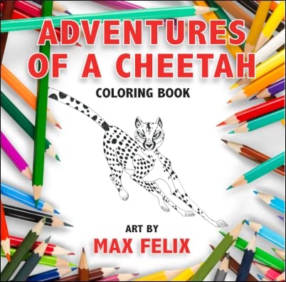 Adventures of a Cheetah: Max Felix, Max Felix: 9781633813366: Amazon ...