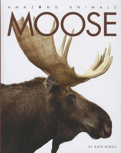 Moose (Amazing Animals): Riggs, Kate: 9781608181117: Amazon.com: Books