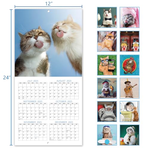 Snapklik.com : 2024 Wall Calendar - Funny Cat Calendar 2024, Jan 2024 ...