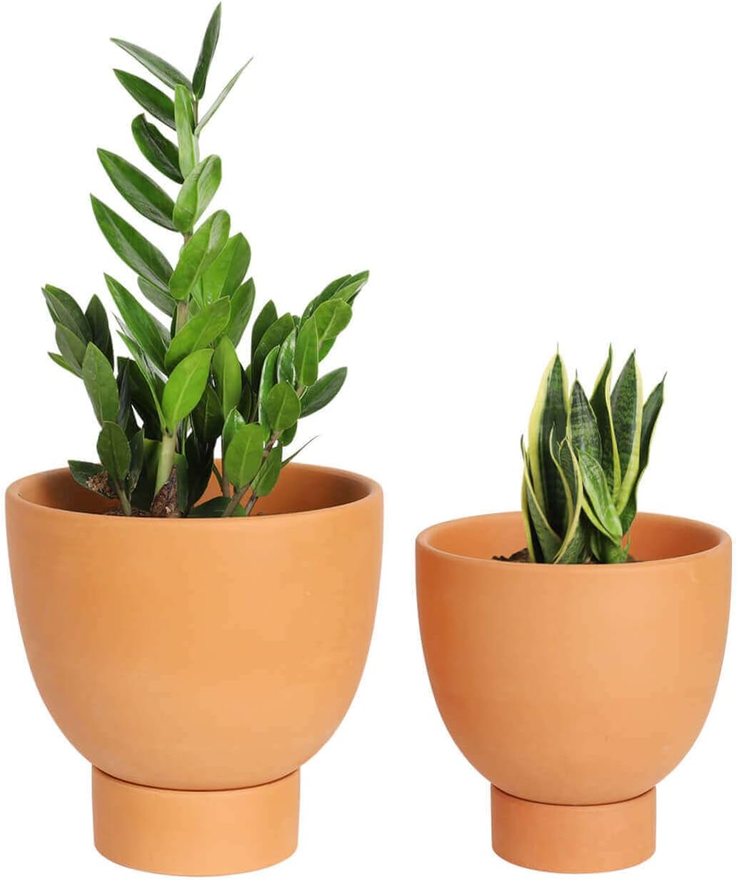 Amazon.com: vensovo Terracotta Self Watering Plant Pot - 2 PCS 6 Inch ...