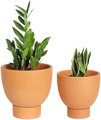 Amazon.com: Goodman and Wife Set of 2 Different Size Natural Terracotta ...