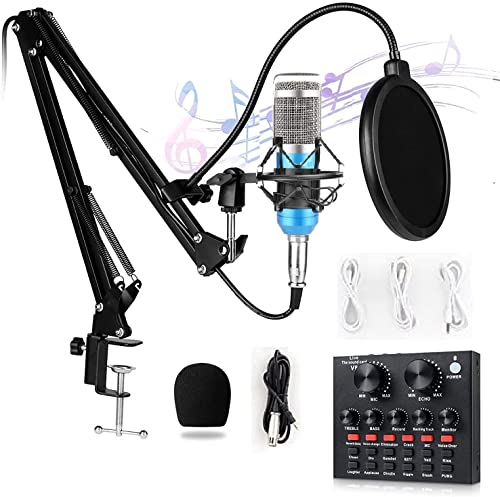 TECHBLAZE Professional Condenser Microphone Kit with Audio Interface ...