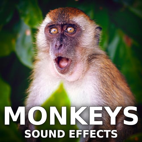 Amazon Music - Sound IdeasのMonkeys Sound Effects - Amazon.co.jp