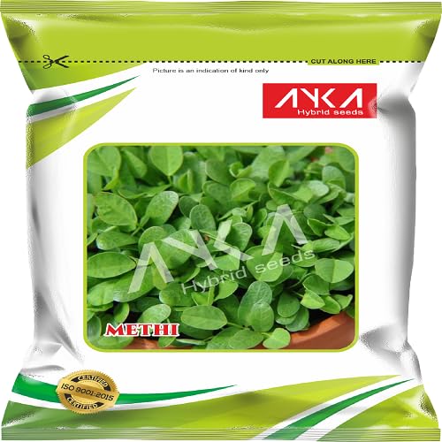 EXCEL OVERSEAS Methi Seeds Farm Fresh and Nutrient-Packed Vegetable ...