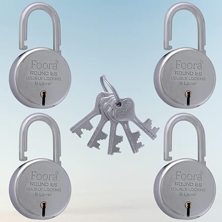 proson Multiple Lock with Common Single Same Master Key (Set of 10 pcs ...