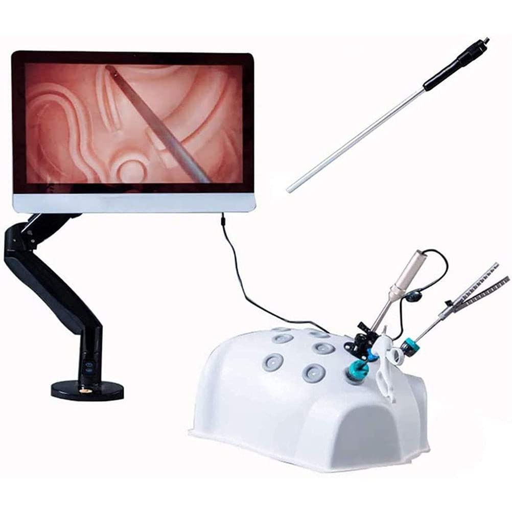 Buy RGHS Laparoscopic Simulator, Thoracoscopic Trainer Box 4 Surgical ...
