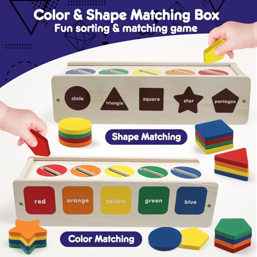 Snapklik.com : ROOCHKD Wooden Sorting Box Montessori Color & Shape ...