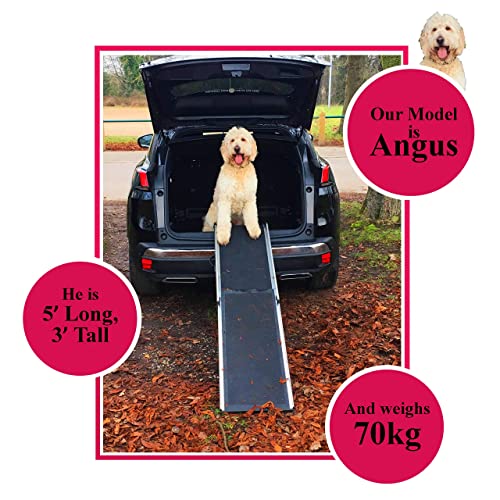 Hewitt & Blue Large Dog Car Ramp Review - AblePaws.co.uk