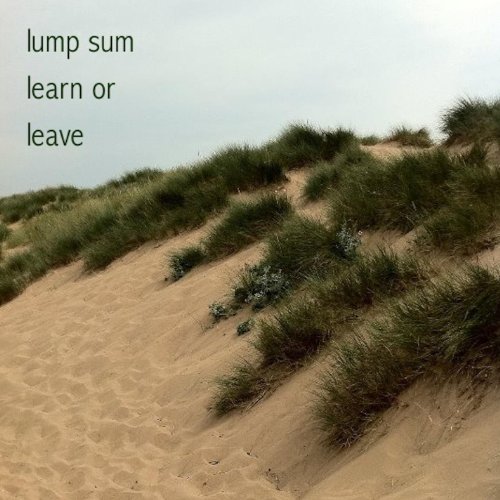 Amazon.com: Learn or Leave : lump sum: Digital Music